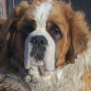 Иконка канала #ВМЕСТЕПЕСНЯ