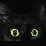 Иконка канала OwlKitty - Лучшее