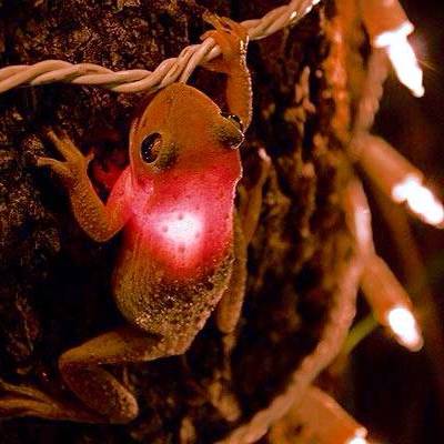 Иконка канала channel28847719