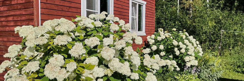 Маришкина усадьба