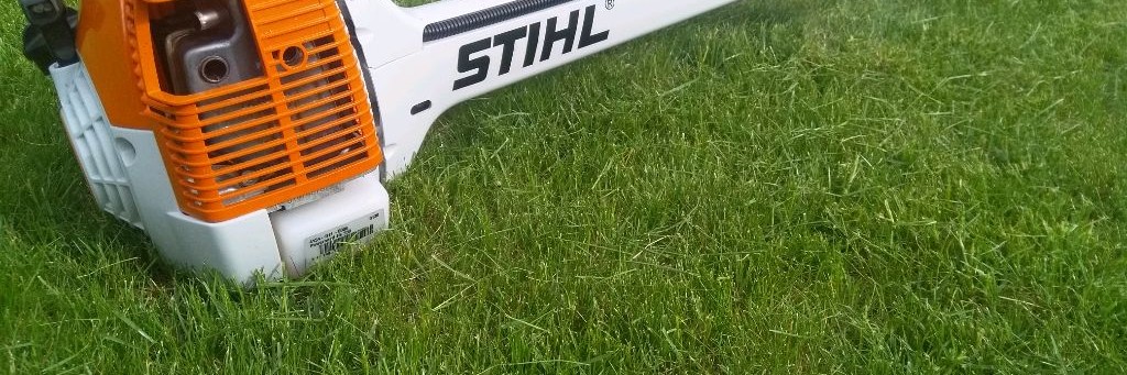 Воронежский покос