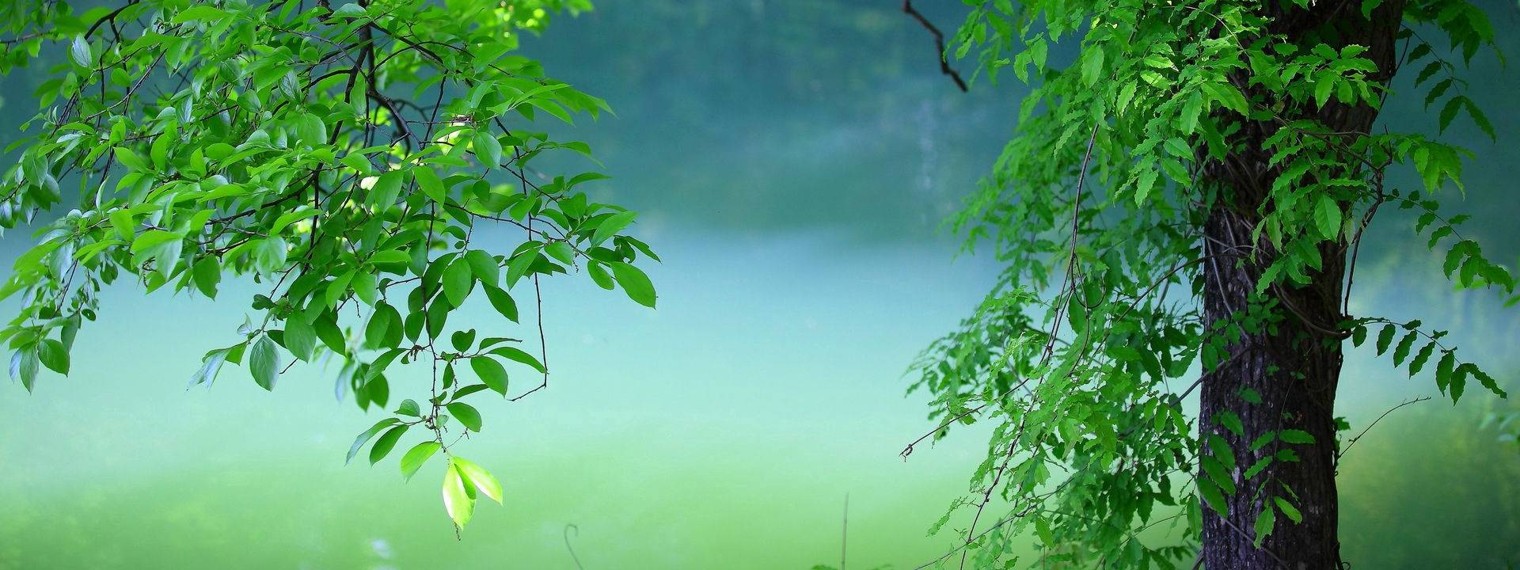 Владислав Машковцев