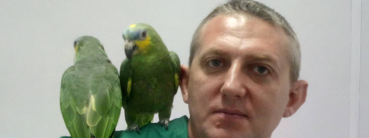 Лечение птиц. Вызов орнитолога на дом и онлайн.