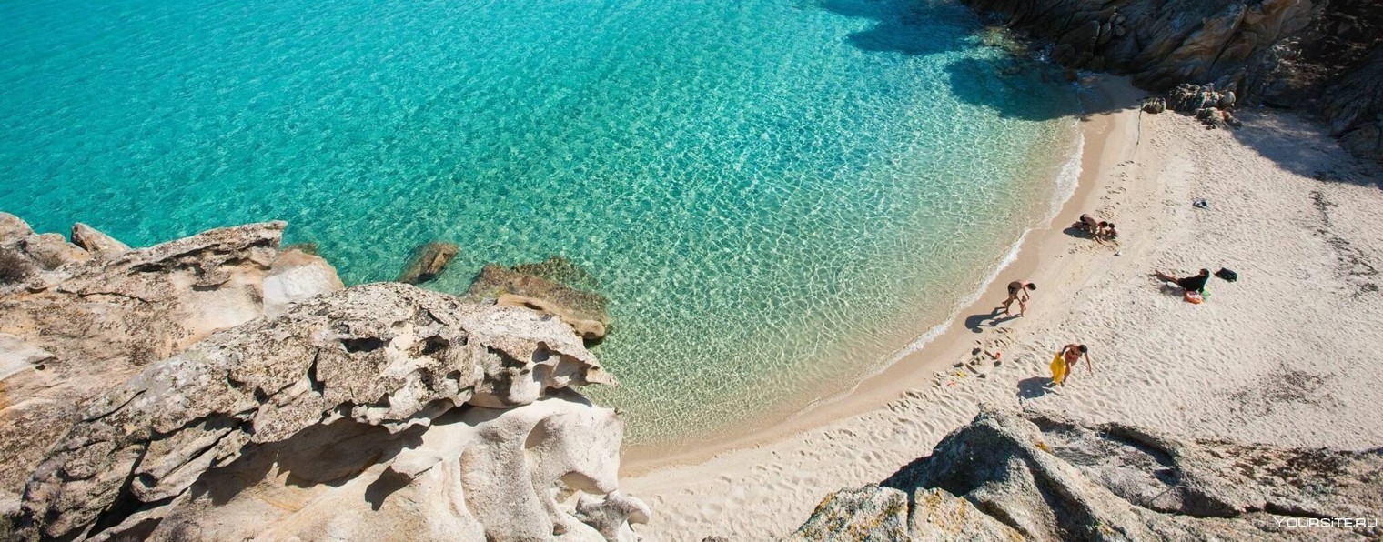 Твой Путешественник Your Traveler