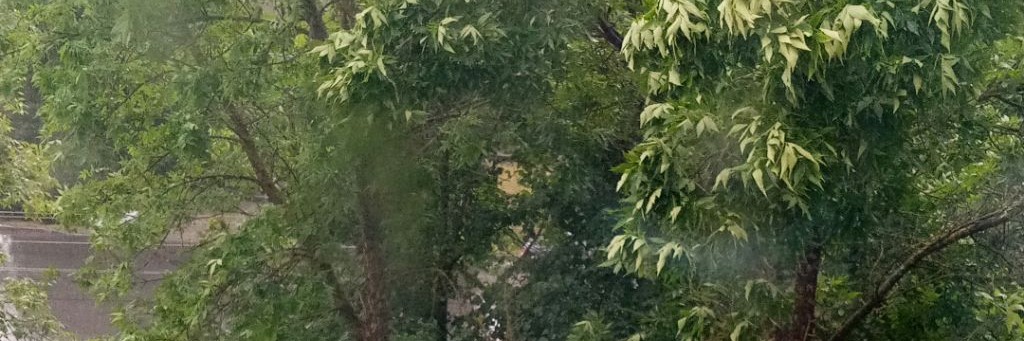 Канал про всё