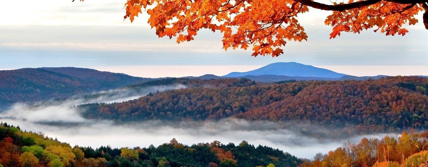 Наталья Королёва