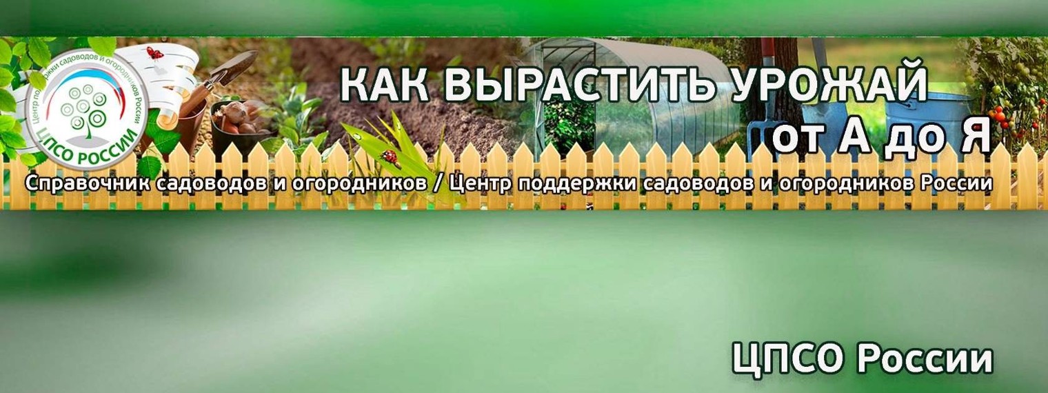 ЦПСО России