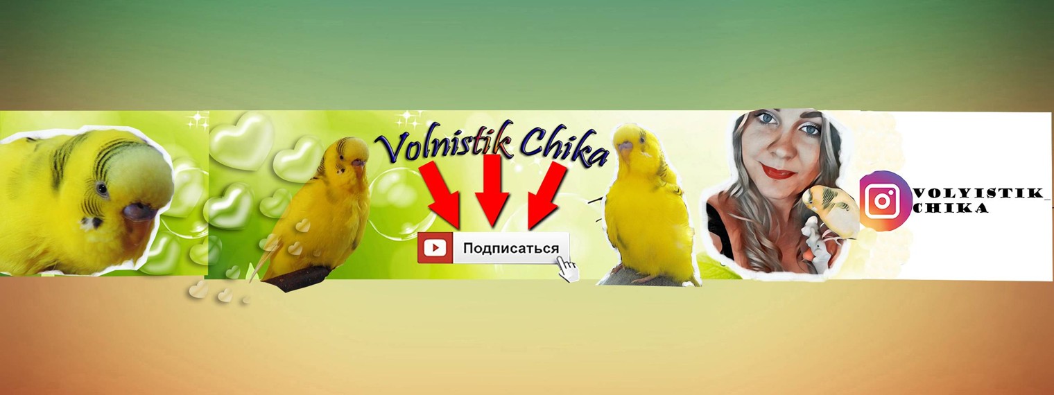 Пернатик-ТВ