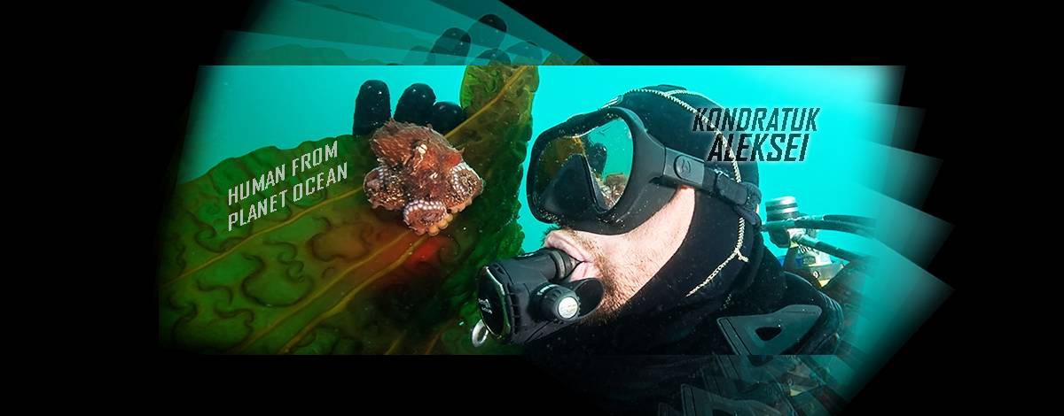 Алексей Кондратюк