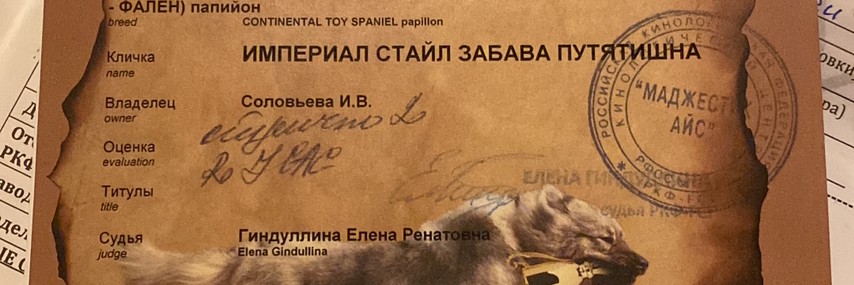 Забава Путяшина и Ко