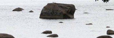 Частный питомник птиц «РЕЧНАЯ ДЕРЕВНЯ» фазаны