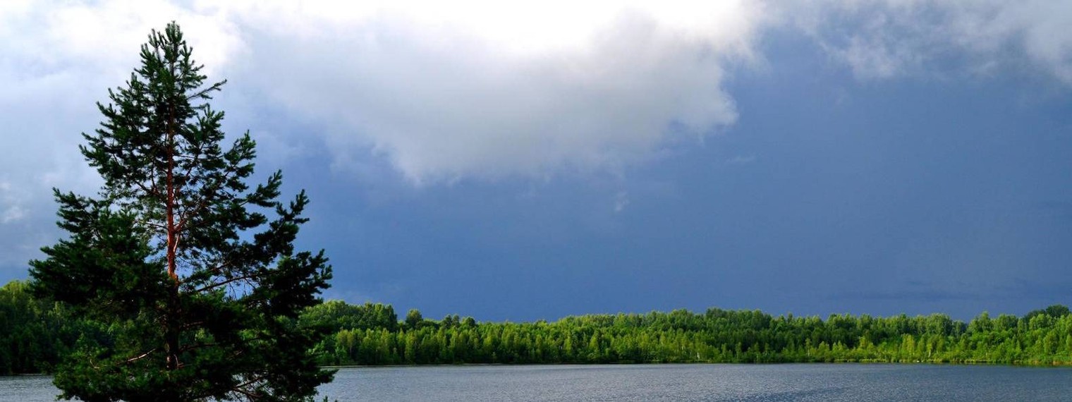 Вова Лунатик. Стихи и музыка