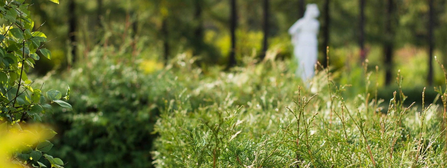 Ботанический сад-институт ПГТУ