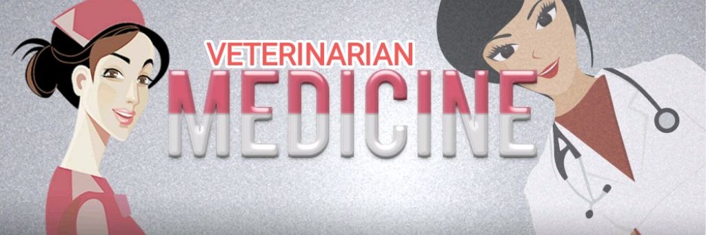 stasia_veterinar