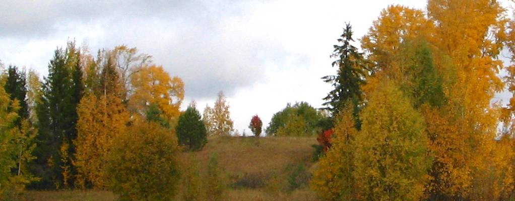 За околицей