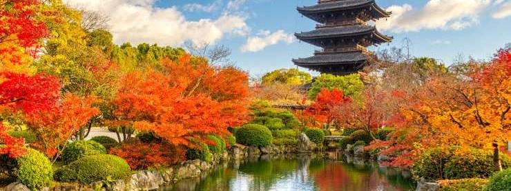 Я ж преподаватель