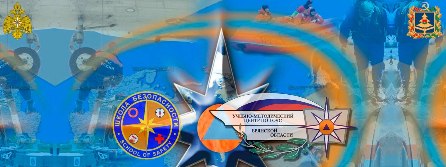 БРО ВДЮОД "Школа безопасности"