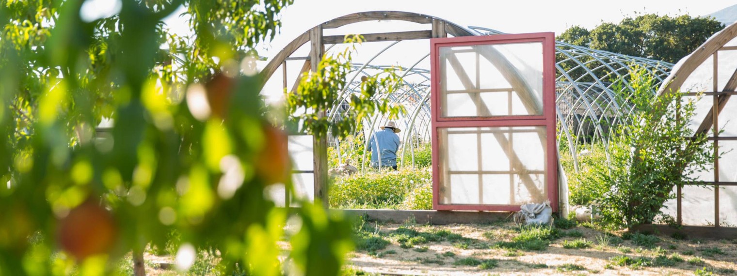 НПП Жестяно-кровельный цех