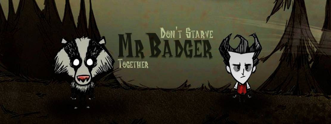 MrBadger