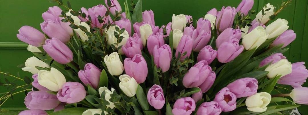 Ирина Иванова