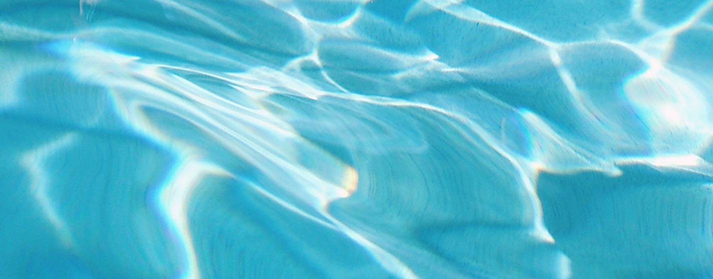 Домашние питомцы