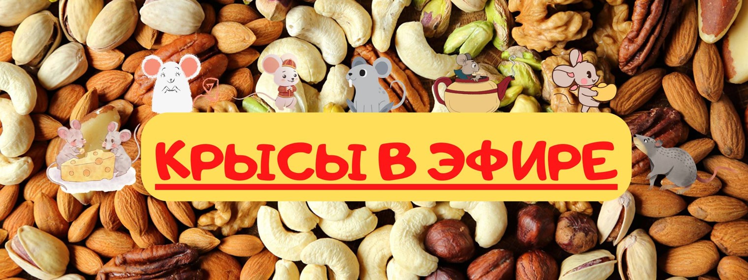 Крысы в эфире
