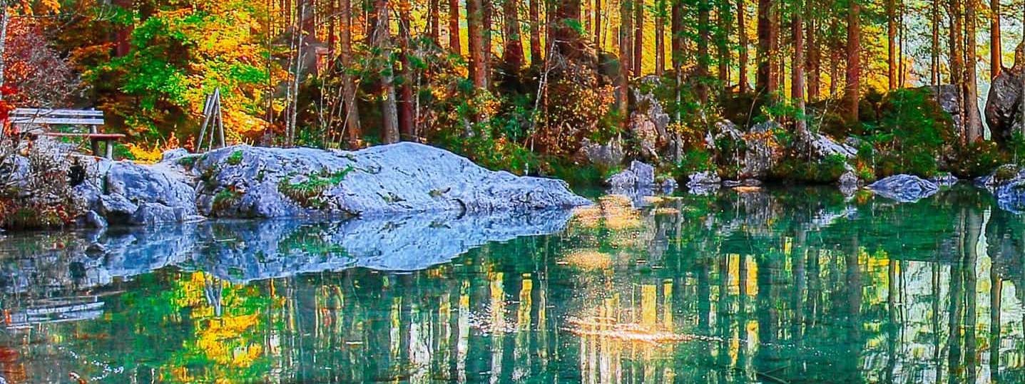 Ладушка в селе