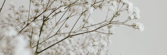 Полина Мармыль?