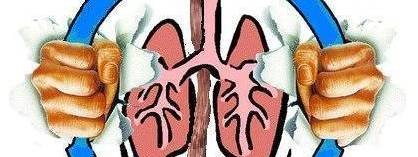 Живая Хирургия