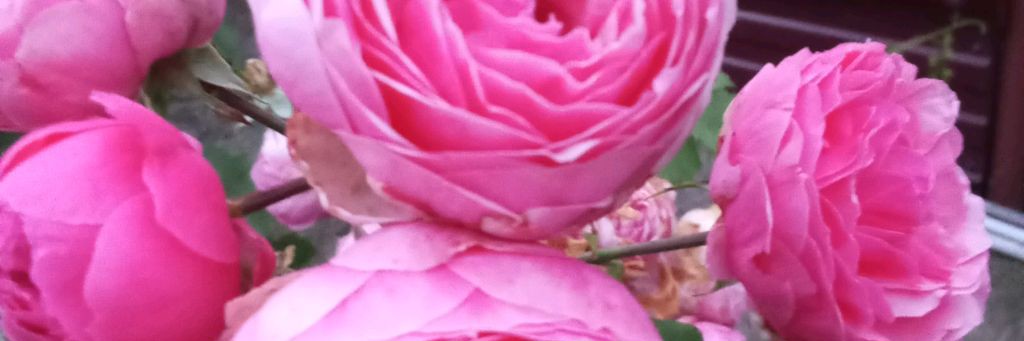 ВАЛЕНТИНА ПРОКУДИНА