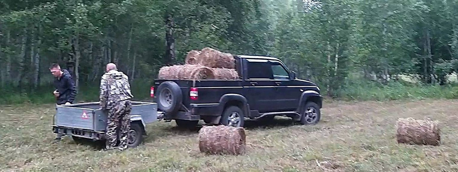 сельский житель