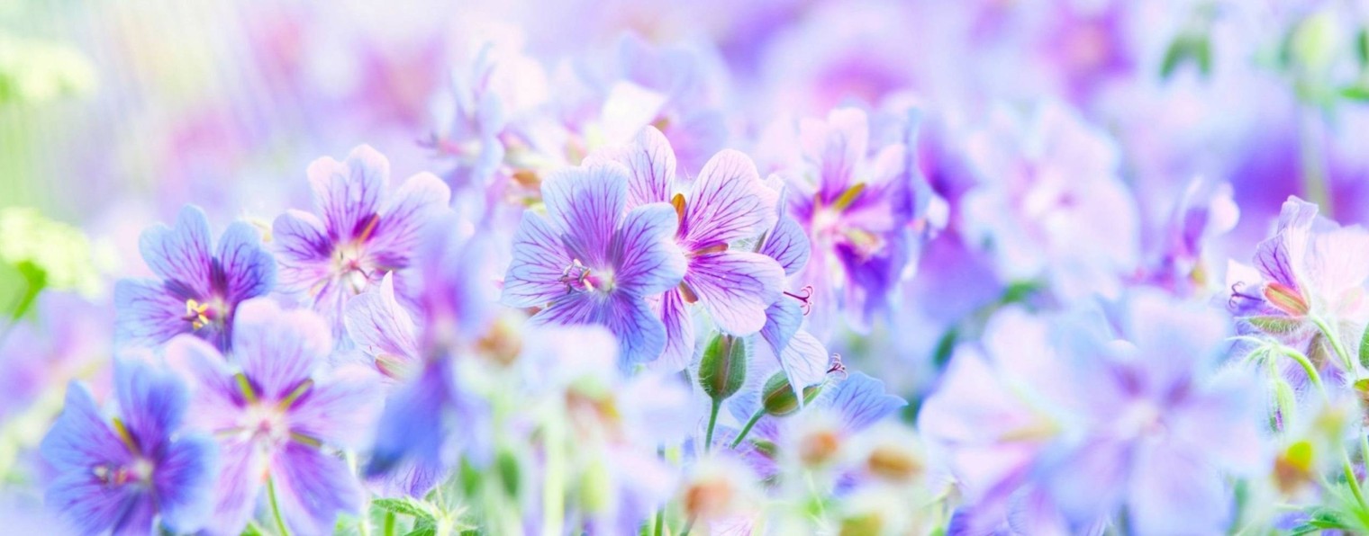 Союз женщин Череповца