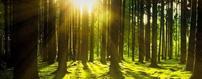 Только лучшие фильмы