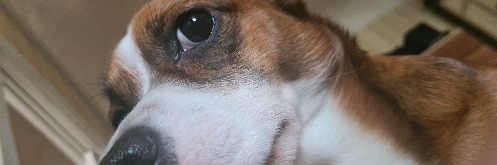 Делай добро Бро