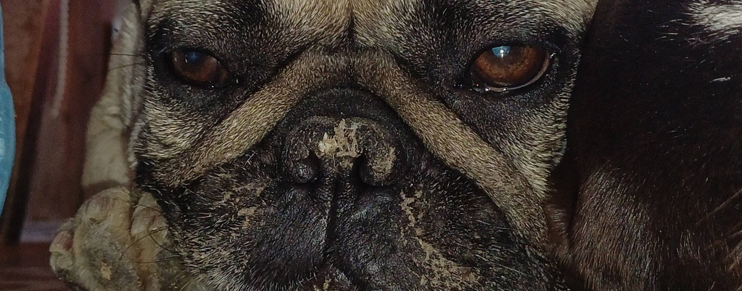 Территория