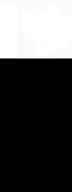 Совет депутатов МО Бабушкинский