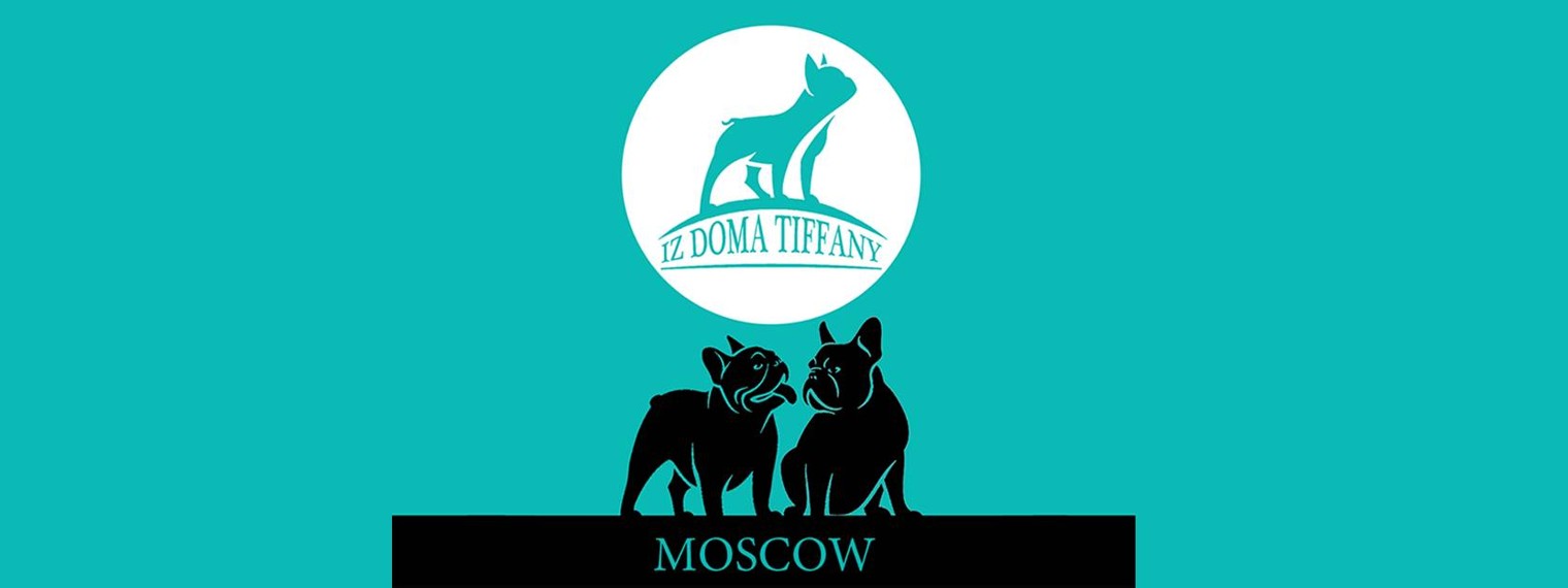 Французские Бульдоги "Из Дома Тиффани" .
