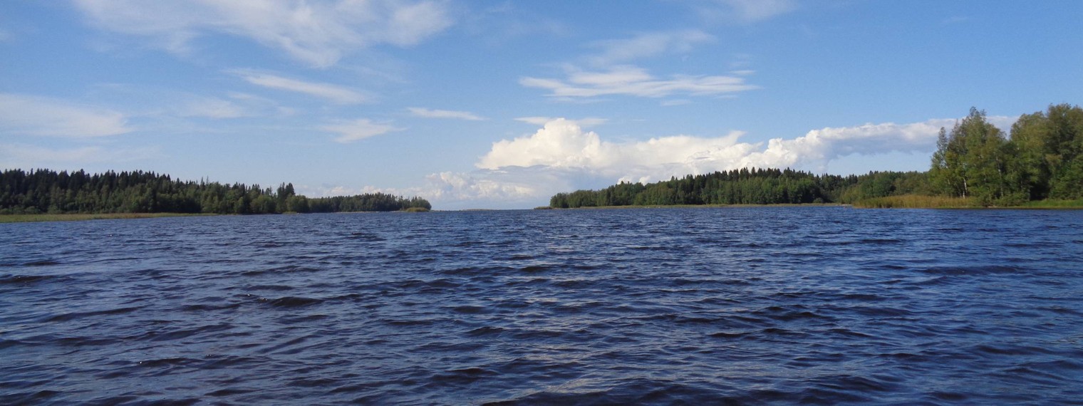 Лега Виктор