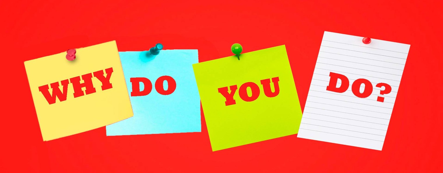 WhyDoYouDo