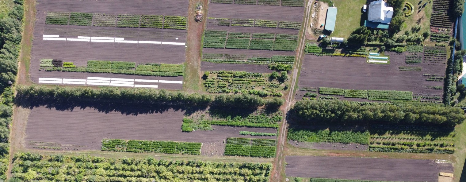 Питомник Долбня