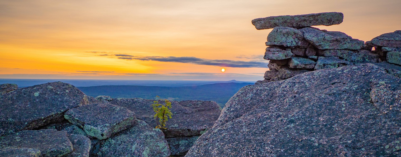 Красота природы в объективе