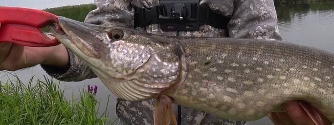 Дорога на рыбалку