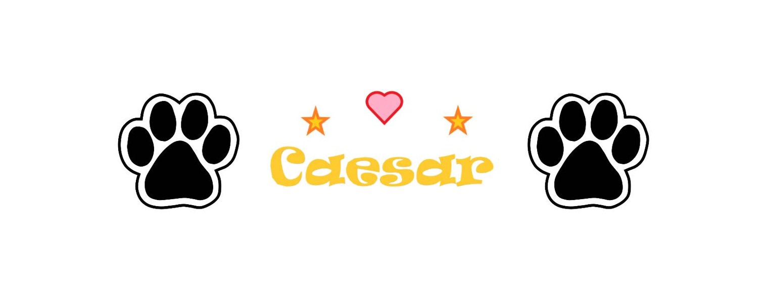 caesar_the_dog_official
