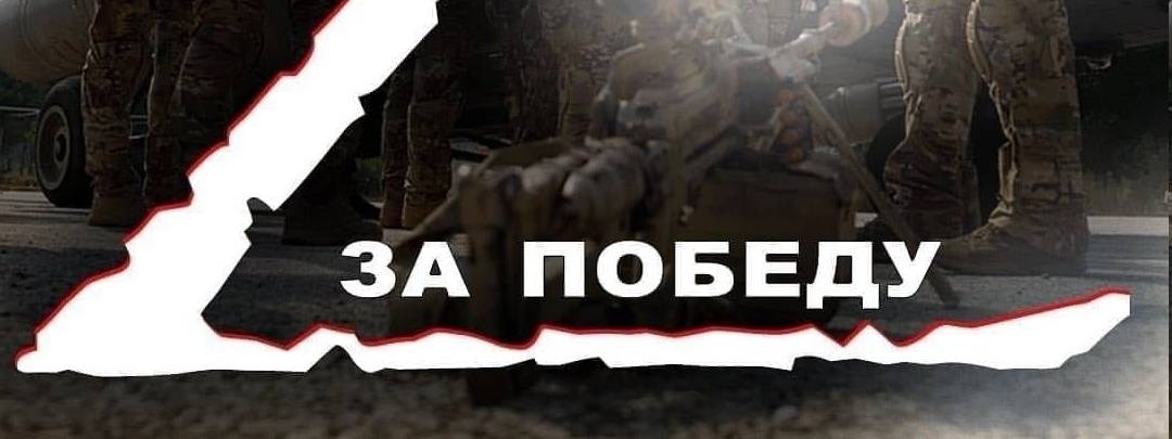 Дилл Фенхель