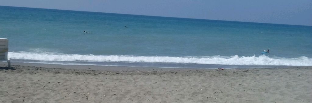 Алекс авто 96