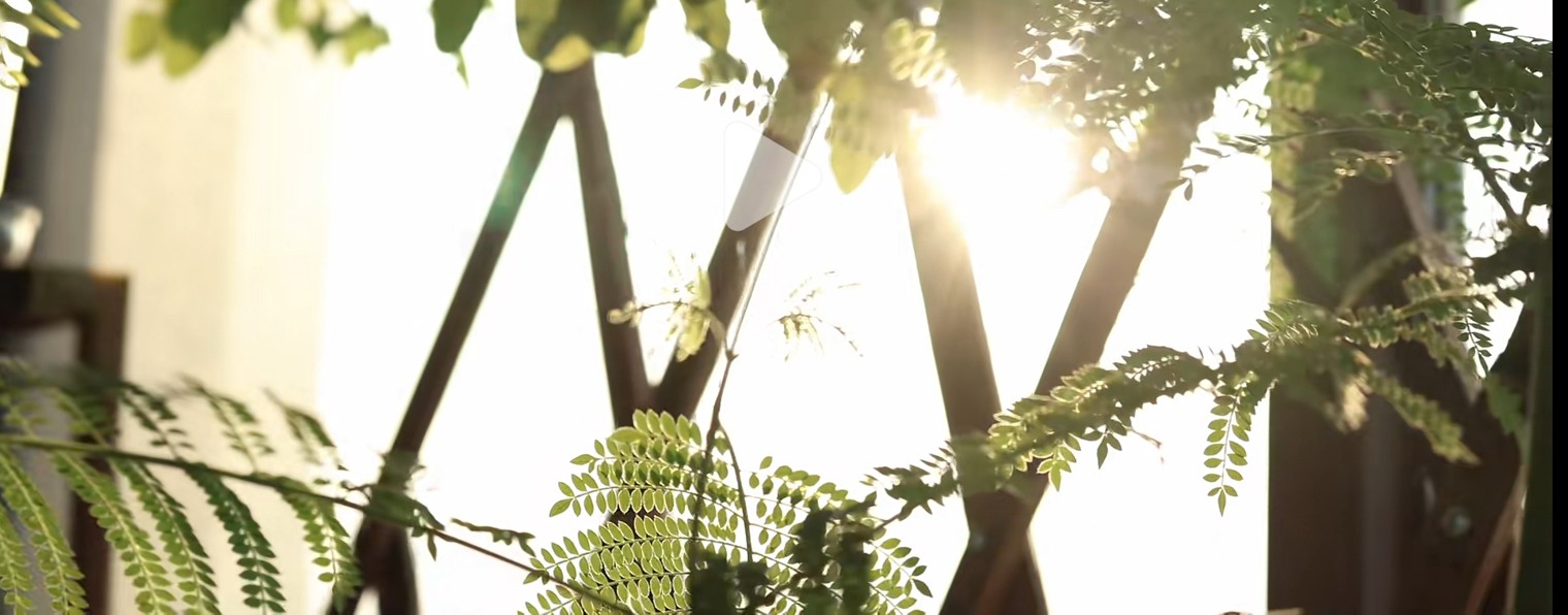 Невозможное возможно