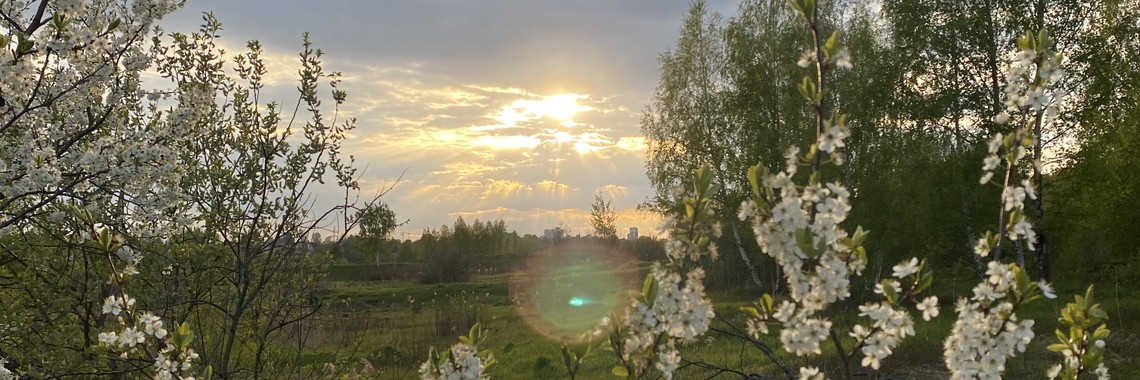 Сильные и независимые