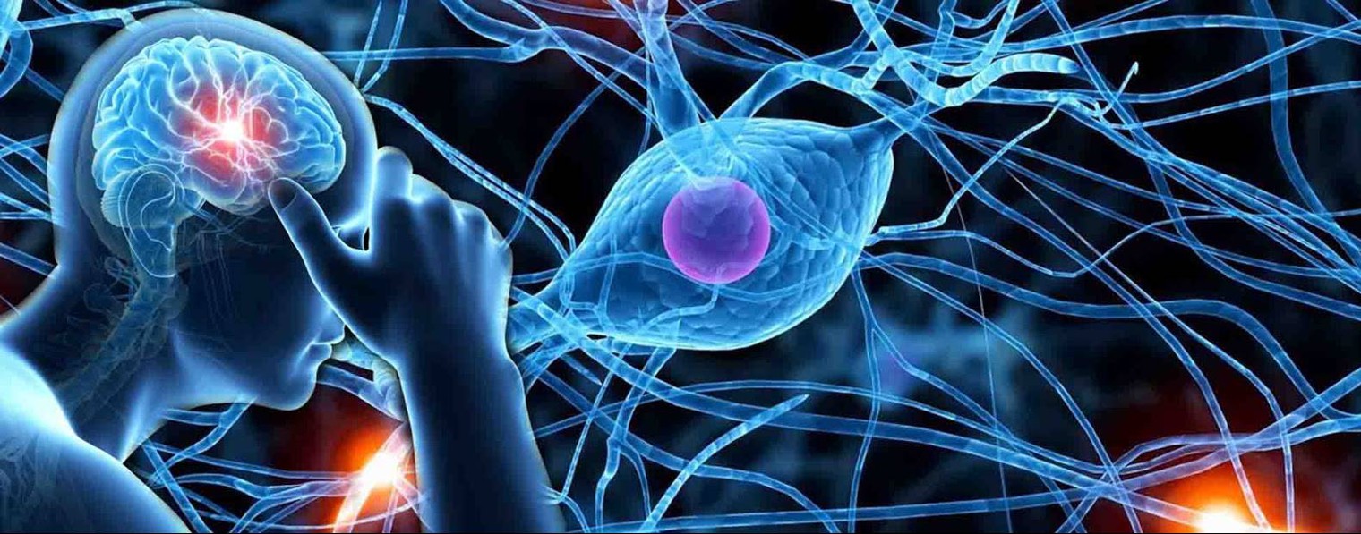 ЗОНА СОЗНАНИЯ