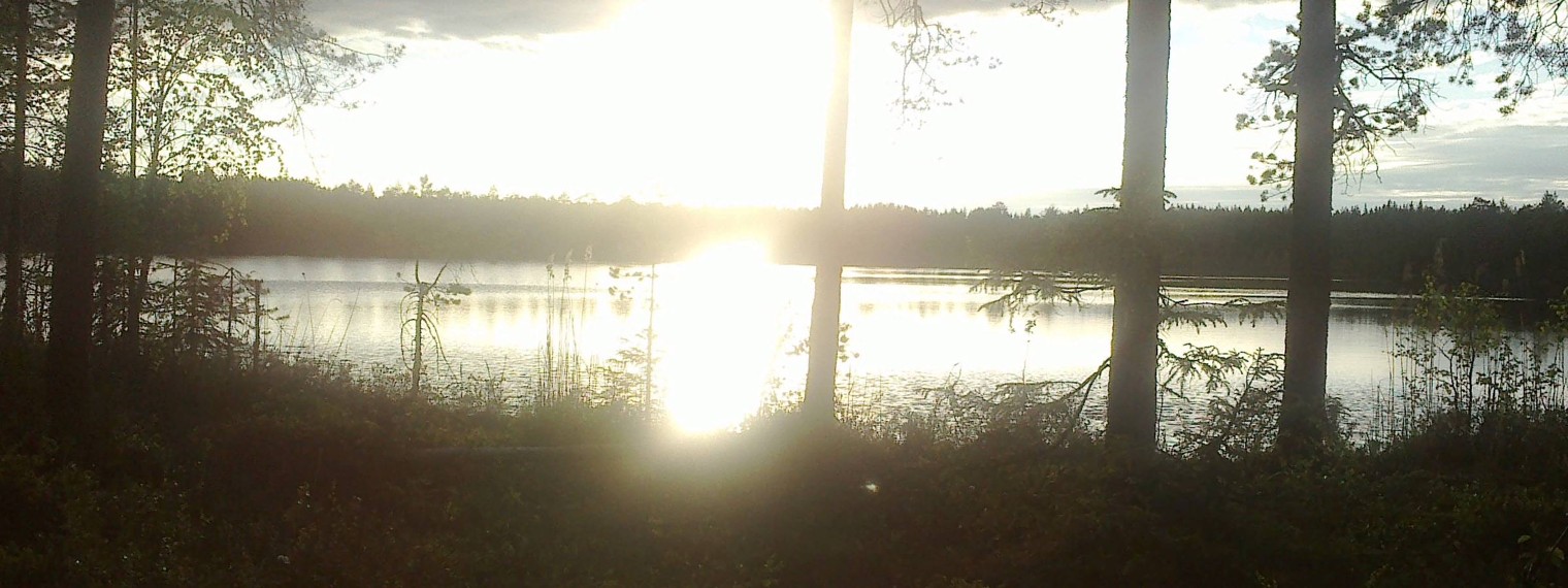 "ЛЕСНАЯ ПРАВДА, ЖИЗНЬ В ЛЕСУ и мой МУЗ. ДЖЕМ"...