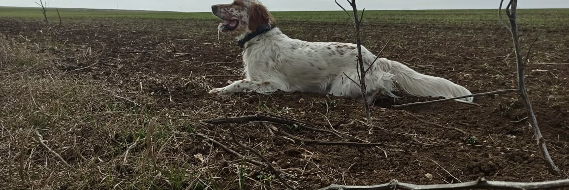 Fotiyiznizhnerusskogokhutora